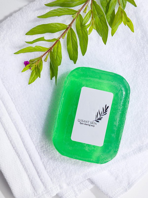 Spot Clearing Soap – LUISANT SKIN